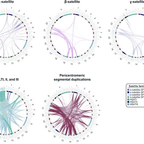 Interchromosomal Relationships Between Centromeric Satellite Dna And