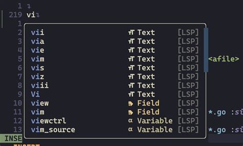 text fields on lsp auto completion r neovim