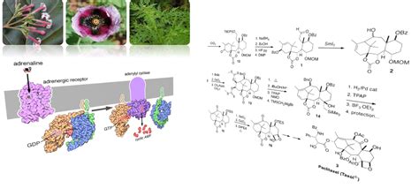 Kimia Medisinal Perkenalan Materi Pertemuan Ke 1