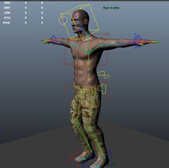 Export File From Maya Don T Have Animation Unity Engine Unity Discussions