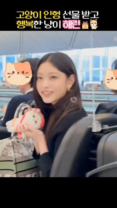[뉴진스] 고양이 인형 선물 받고 기분 최고 해린 😺💜 Youtube