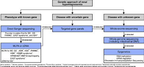 Genetic Strategy For Diagnosis Of Inherited Renal Hypomagnesemia The