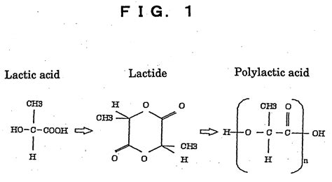 Condensation Polymerization Lactic Acid