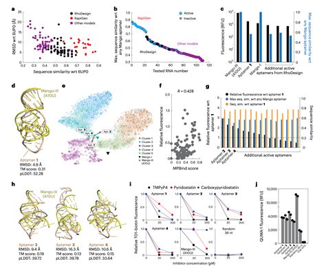 Rna Structure Prediction And Design With Large Language Model Based