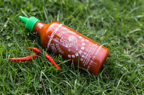 Sriracha Sauce Alle Infos Zur Thailändischen Sauce Eatfire De