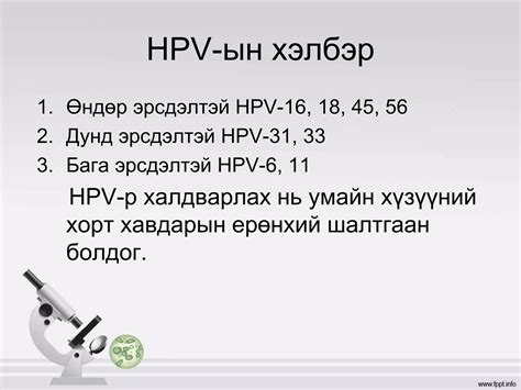 умайн хүзүүний хорт хавдар Pptx