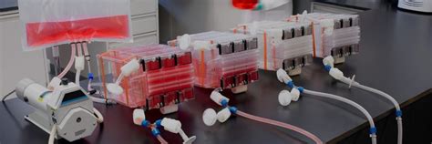 Request Consultation Corning® Hyperstack® Life Sciences Request Consultation Corning® Hyperstack® Life Sciences