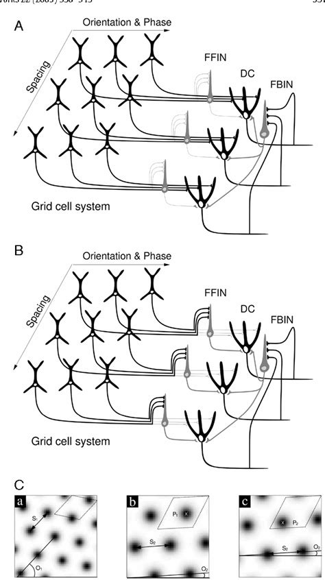 Distance Coding Strategies Based On The Entorhinal Grid Cell System Semantic Scholar