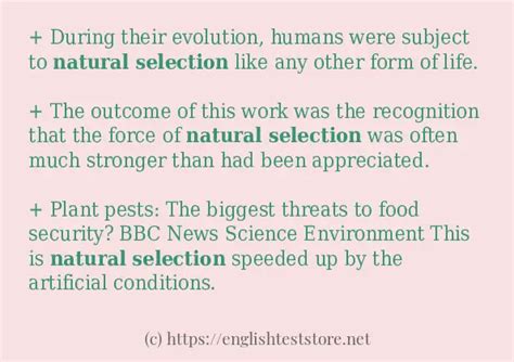 Natural Selection Some Example Sentences Englishteststore Blog