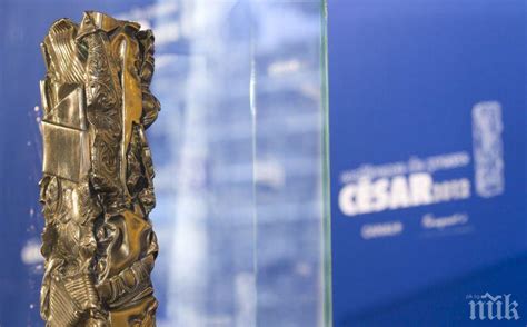 Ръководството на наградите Сезар подаде оставка Информационна агенция ПИК