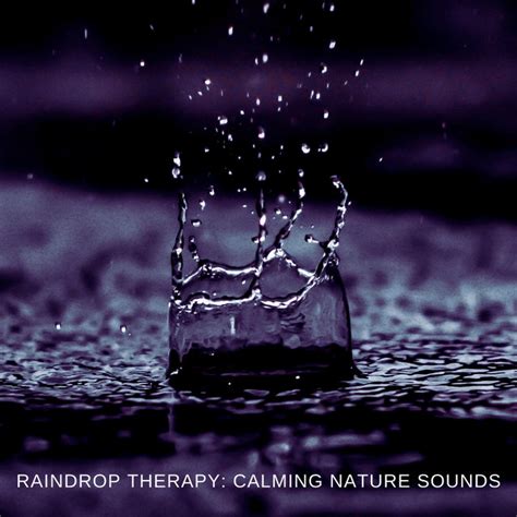 Raindrop Therapy Calming Nature Sounds Single By Rainfall Place