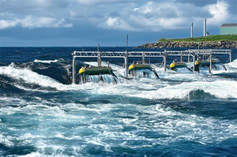 Innovative Wave Energy Converters Harnessing Ocean Power In A Coastal Setting Stock Image