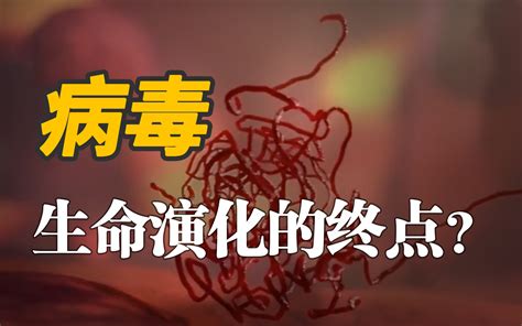 为什么会有病毒？它是所有生命演化的终点吗？【生命起源系列第三集 病毒的起源】 新石器公园 新石器公园 哔哩哔哩视频