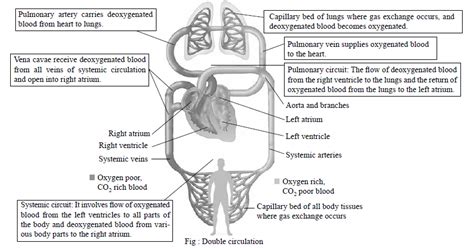 How To Make Most Out Of NEET Biology Books MTG Blog