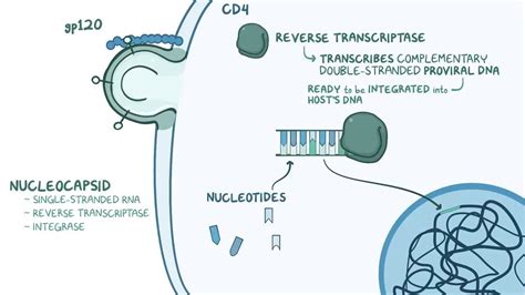 Video Nucleoside Reverse Transcriptase Inhibitors Nrtis