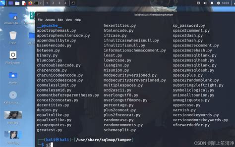 Sqlmap简单使用实操sqlmap U Csdn博客 Sqlmap简单使用实操sqlmap U Csdn博客