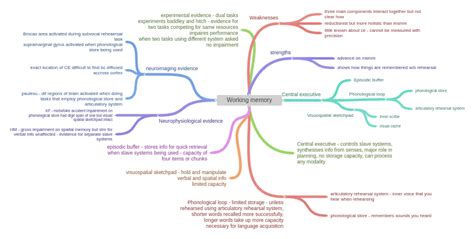 Working Memory Coggle Diagram