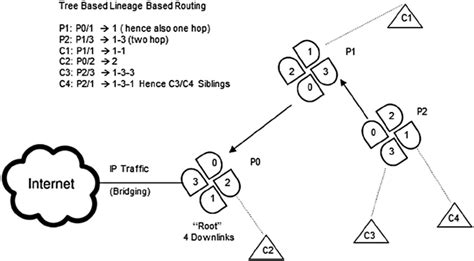 Propagator Nodes Form A Structured Tree For Networking Efficiency The Download Scientific