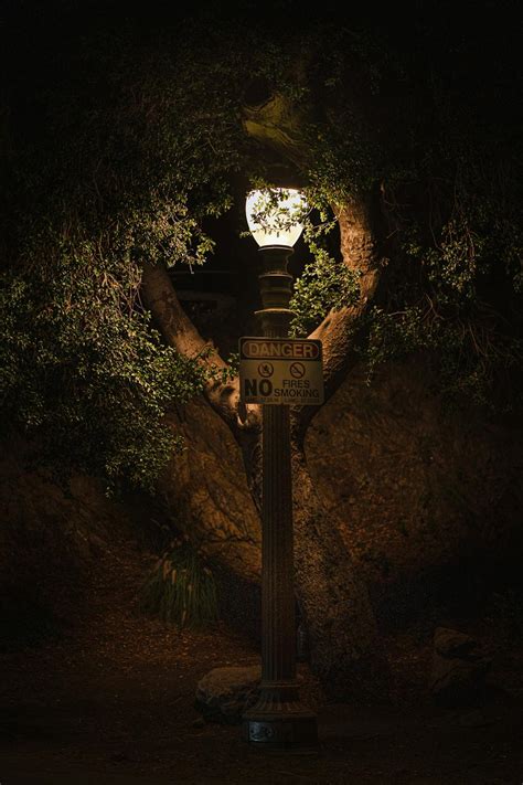 가로등 가로등 기둥 간판 건축 경고 경치 고요한 공공 조명 공원 공원 환경 그림자 금연 나무 나뭇잎 도시 공원 도시 성격 도시의 따뜻한 빛