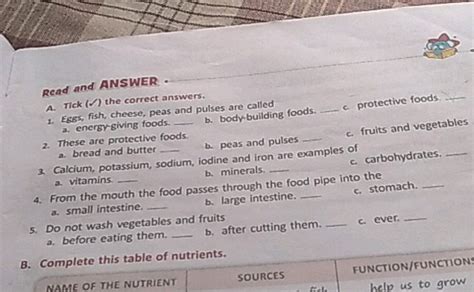 Read And ANSWER A Tick The Correct Answers 1 StudyX