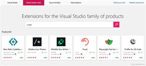 如何离线安装vscode插件 源码巴士