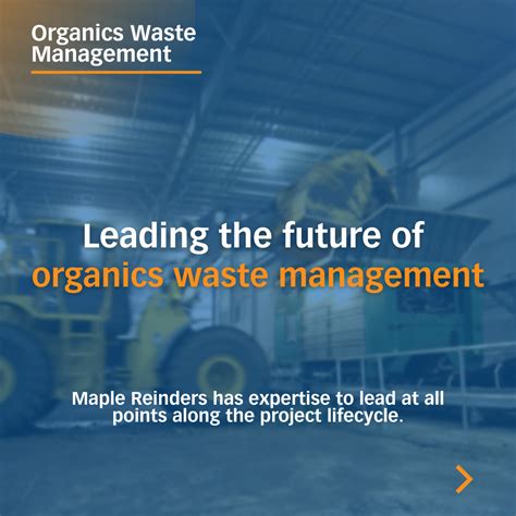 Maple Reinders Maple Reinders Has A Long History In