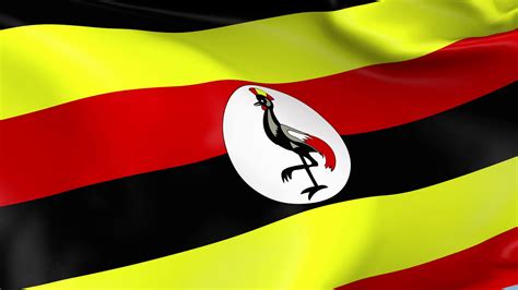Wallpaper Designs In Uganda At Cornelia Priest Blog