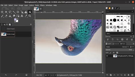 How To Rotate Transform An Image In GIMP Complete Guide Edits