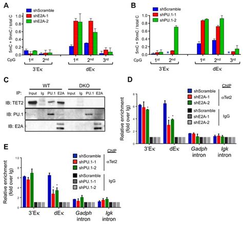 Figures And Data In Tet2 And Tet3 Cooperate With B Lineage Transcription Factors To Regulate Dna