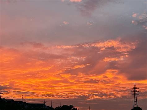 川の流れ 毎日がすぺしゃる3