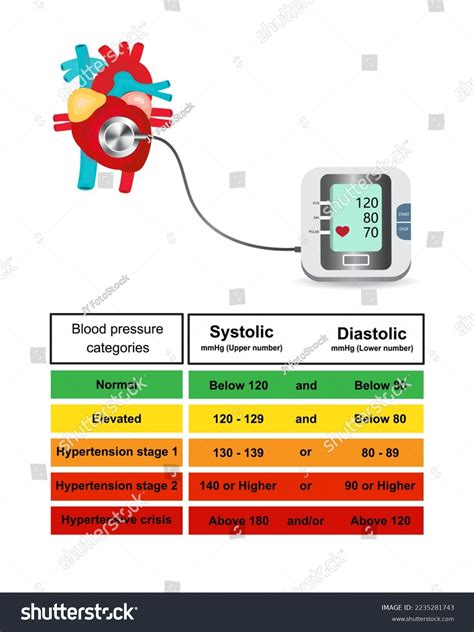 Periodic Table Blood Pressure Categories Infographic Stock Vector