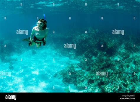 Woman Snorkeling Above A Coral Reef In Clear Blue Water Near Staniel