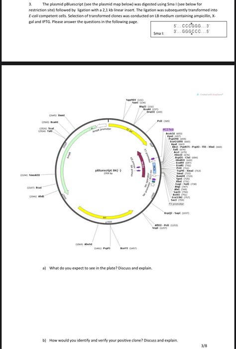 Solved The Plasmid Pbluescript See The Plasmid Map Below