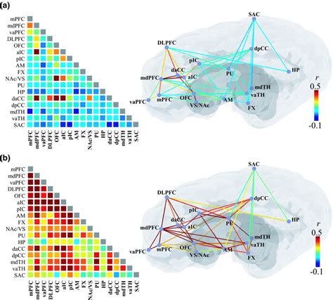 Pair‐wise Functional Connectivity Fc Is Shown In The Color Encoded