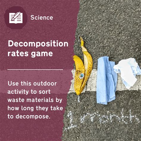 Decomposition Rates Game Outdoor Lesson Idea By Learning Through