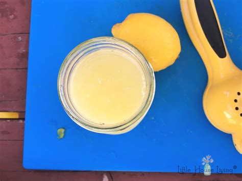 How To Preserve Lemon Juice And Peels Little House Living