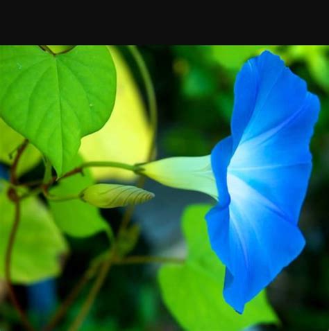 Шүүхийн “ШҮҮХИЙН ШИЙДВЭР ГҮЙЦЭТГЭХ БАЙГУУЛЛАГЫН АЛБА ХААГЧДАД МЭРГЭШЛИЙН ЗЭРЭГ ЗЭРГИЙН