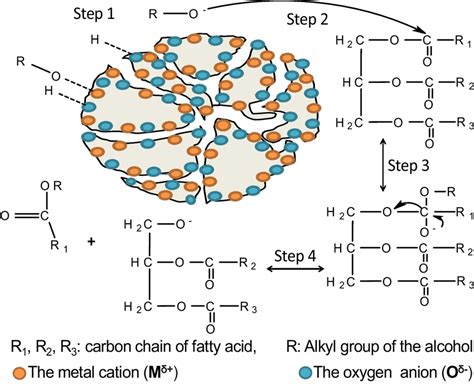 The Surface Structure Of Metallic Oxides And The Transesterification Download Scientific