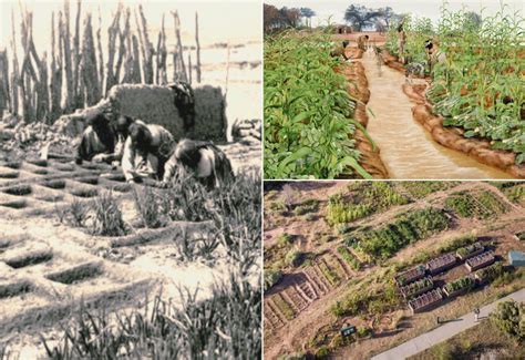 Zuni Pueblo Traditional Farming Native American Tribes