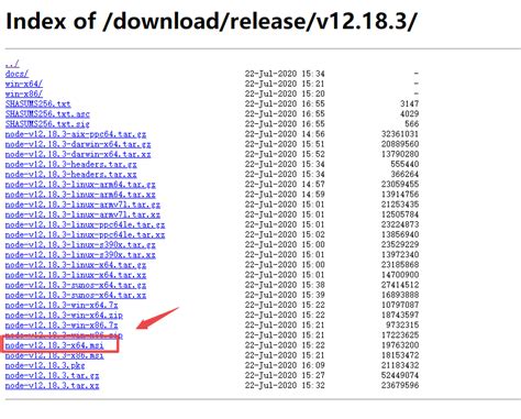 node js版本下载v12 18 3 txwtech 博客园 node js版本下载v12 18 3 txwtech 博客园