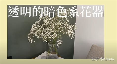 家居植物：花小钱提升家居精致感 知乎