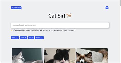 Github Hong Beencat Search Cat Sir🐈 바닐라js로 리액트 클래스 컴포넌트를 구현하여