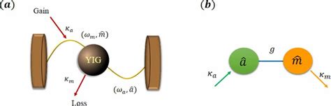 A A Schematic Of A Pt Symmetric Cavity Magnonic System In Which By