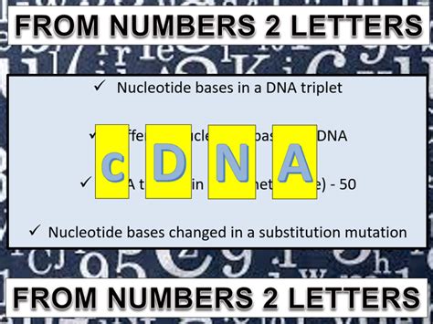 Topic 841 Recombinant Dna Technology Aqa A Level Biology