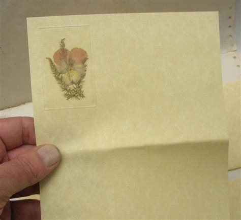 Set Of 5 Vintage Notelets With Real English Pressed Flowers 5 Envelopes Condition Unused But