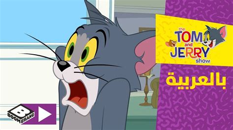 توم وجيري كلبٌ كبيرٌ جداً بوميرانغ Youtube
