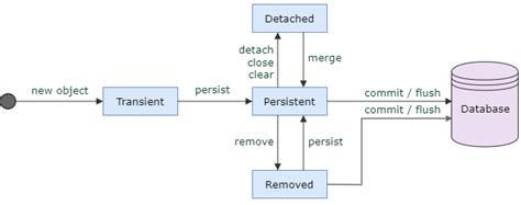 entity life cycle