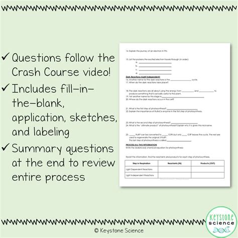 Crash Course Photosynthesis Video Guided Notes Homework Outline Tpt