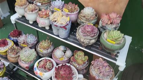 옥상아이들함께보러갈까요💃💃💃 Youtube