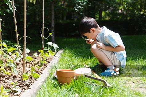 小男孩拿着放大镜观察正版图片素材 花瓣网